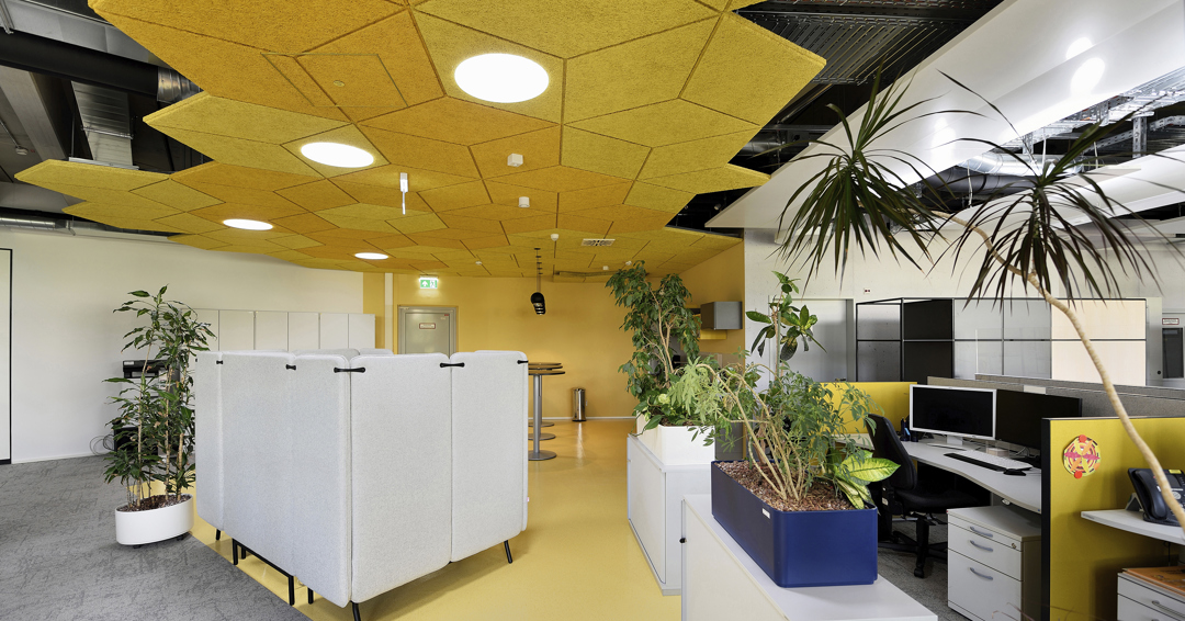 Sofistikerad takdesign i modernt kontor | Troldtekt